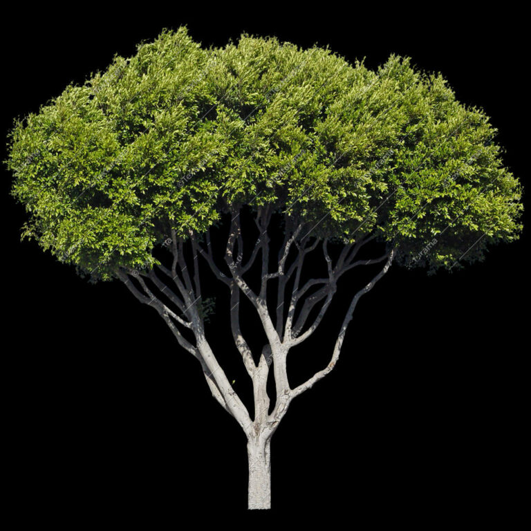 Texturama - Critically Acclaimed Professional Seamless Texture Maps for 3D